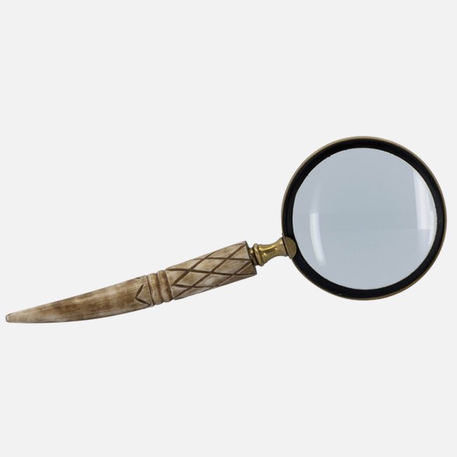 Reading Magnifiers for Books, Newspapers and Documents — Magnifiers NZ