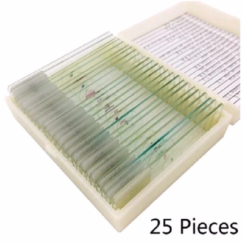 25pcs Microscope Slide Kit — Magnifiers NZ