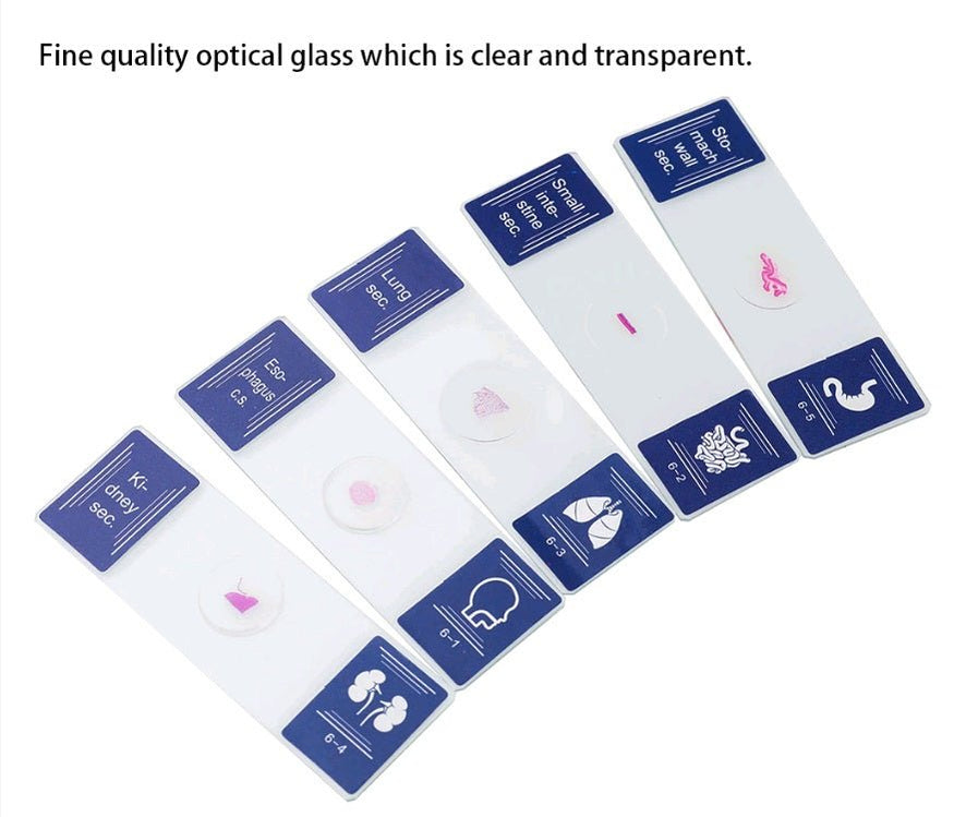 35 GLASS Prepared Microscope Slides — Magnifiers NZ