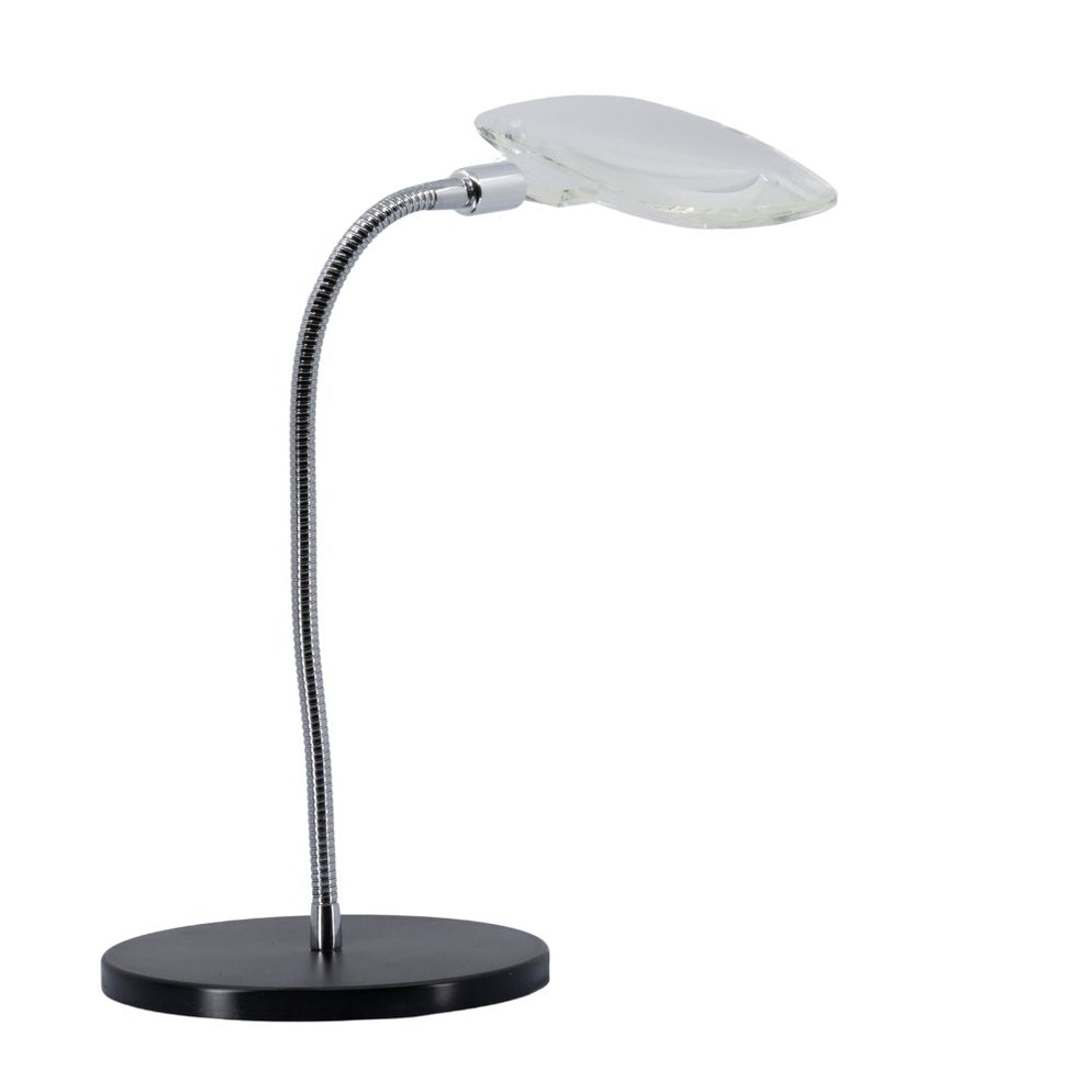 Large Gooseneck Magnifier 2X — Magnifiers NZ